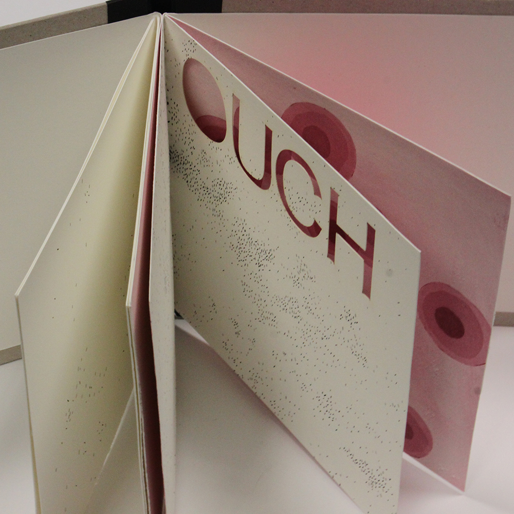 Artist’s books – seaslug illustration